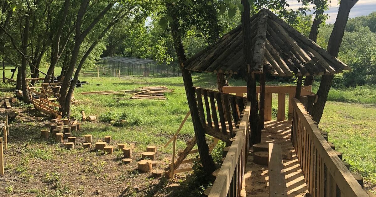 TOP 20 Obiective Turistice Timisoara: Locuri de Vizitat - Zi libera