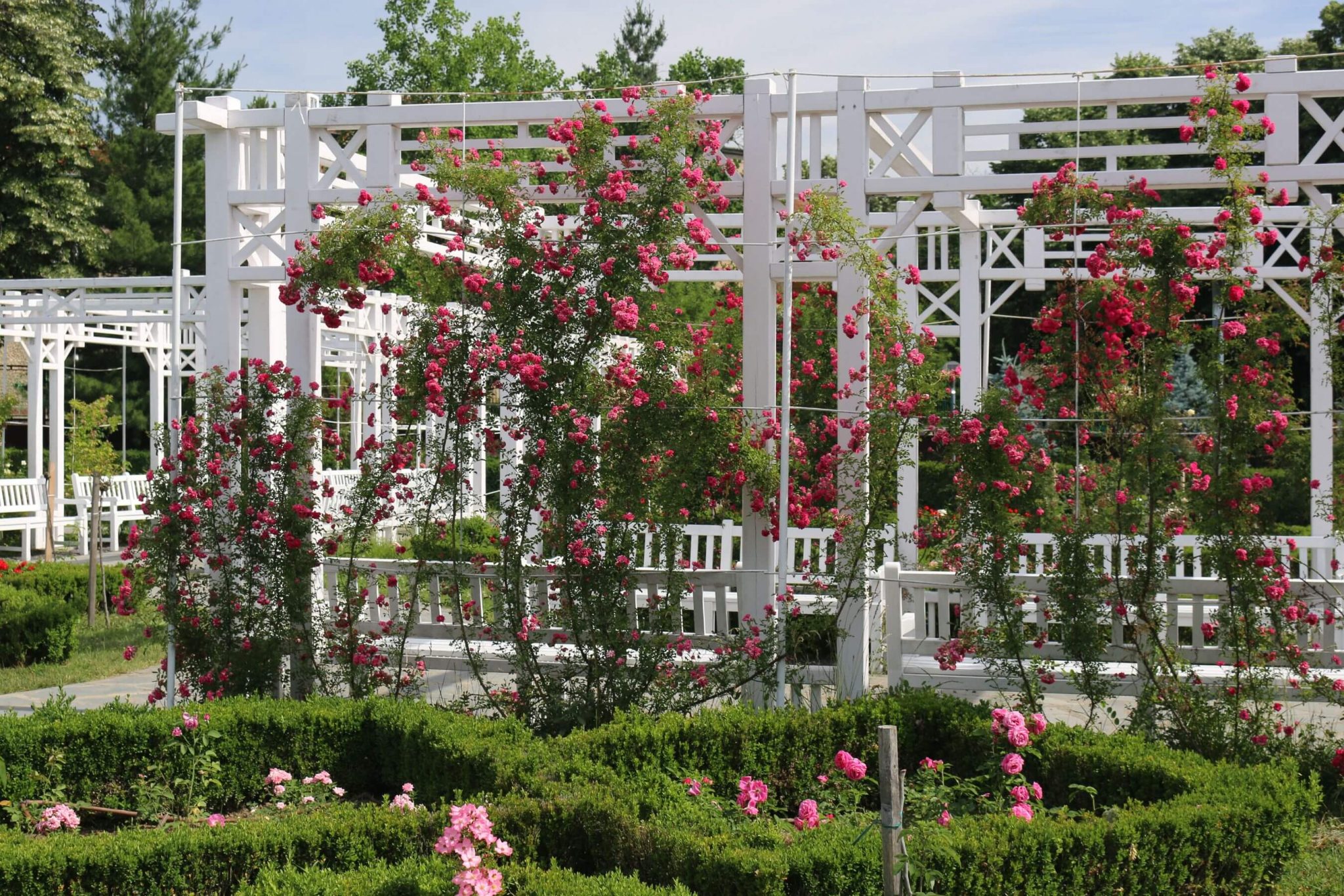 TOP 20 Obiective Turistice Timisoara: Locuri de Vizitat - Zi libera