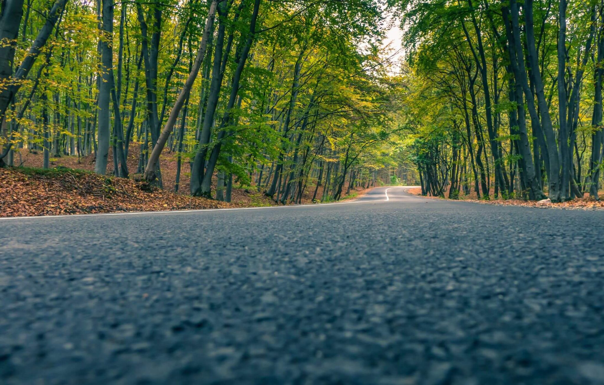 TOP 21 Obiective Turistice in Cluj: Locuri de Vizitat - Zi libera