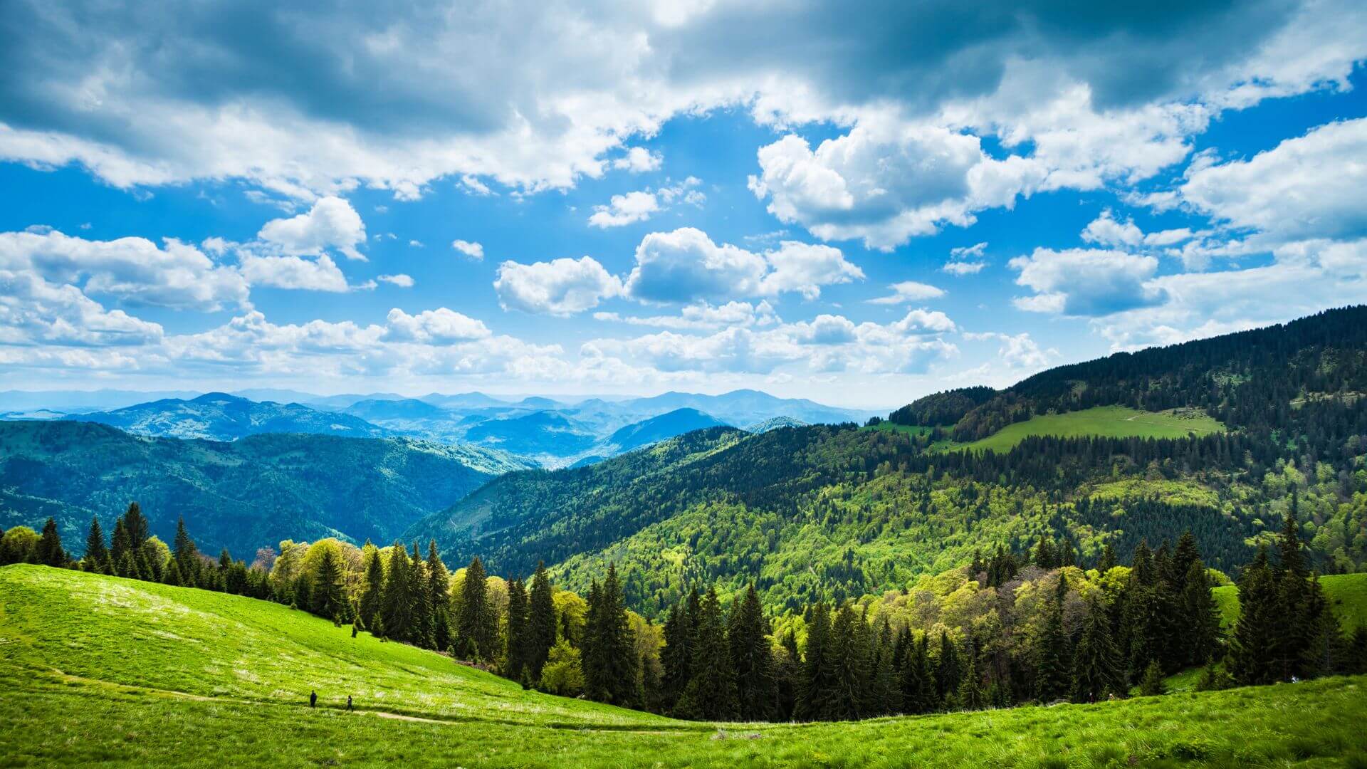 TOP 18 Obiective Turistice Maramures: Locuri de Vizitat - Zi libera